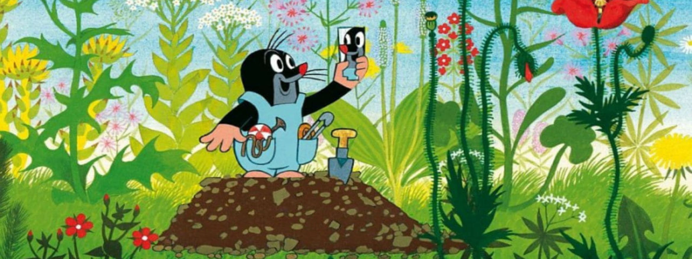 Het molletje | Sphinx Cinema